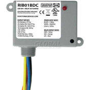 RIB® Enclosed Power Relay RIB2401B, 20A, SPDT, 24VAC/DC/120VAC ...