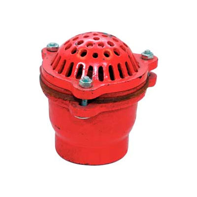 3" FNPT Cast Iron Foot Valve w/ Leather Flapper | B553276 ...