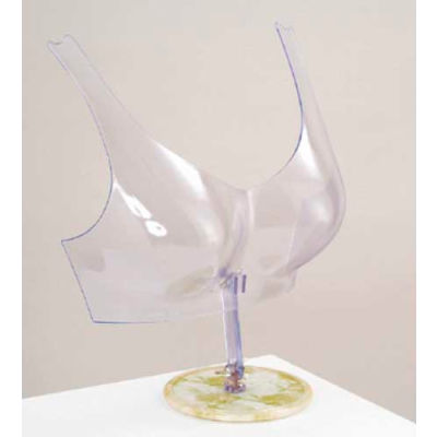Free Standing Bra Form - Clear Plastic - Pkg Qty 5 | B1620064 ...
