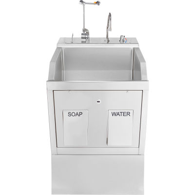 Blickman Single Station Pedestal Lodi Scrub Sink with Eyewash and ...