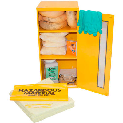 Wall Mount Spill Containment Cabinet, Large, 12"W x 14"D x 28"H ...