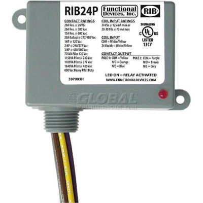RIB® Enclosed Power Relay RIB24P, 20A, DPDT, 24VAC/DC | B1034329 ...